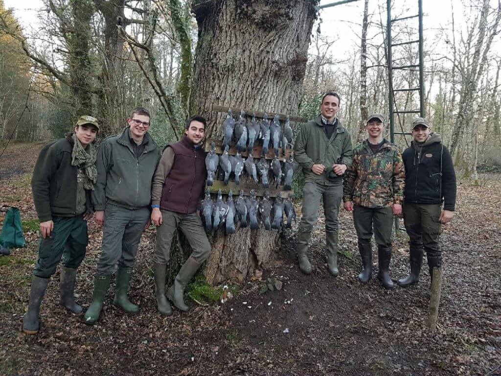 Chasse à la palombe en Sologne | Chasse au pigeon ramier en Sologne