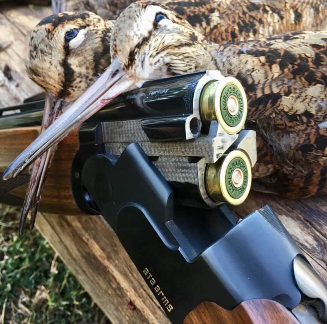 La chasse a la becasse en Ecosse | Chasse à la journée en Ecosse