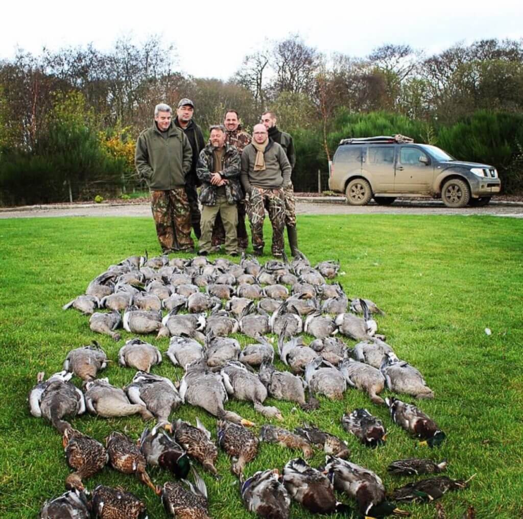 Chasse aux oies en Ecosse | Chasse aux oiseaux migrateurs