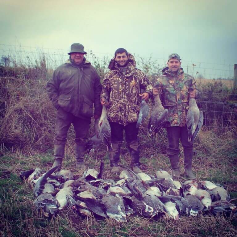 Chasse aux oies en Ecosse | Chasse aux oiseaux migrateurs