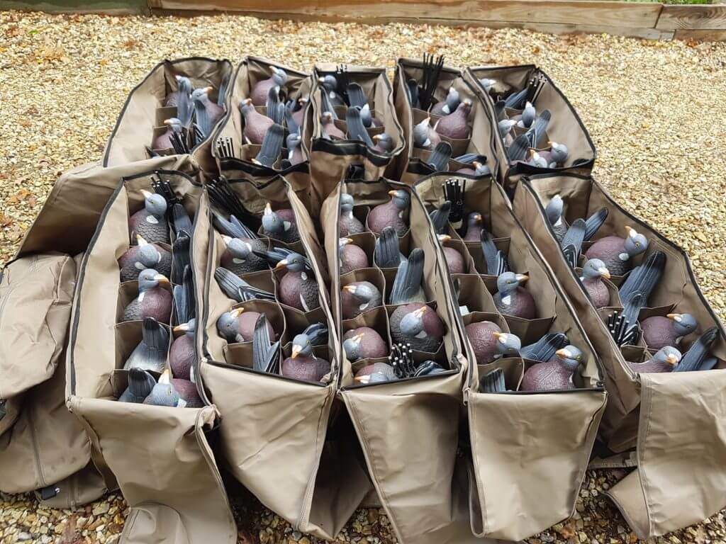 Chasse à la palombe en Sologne | Chasse au pigeon ramier en Sologne