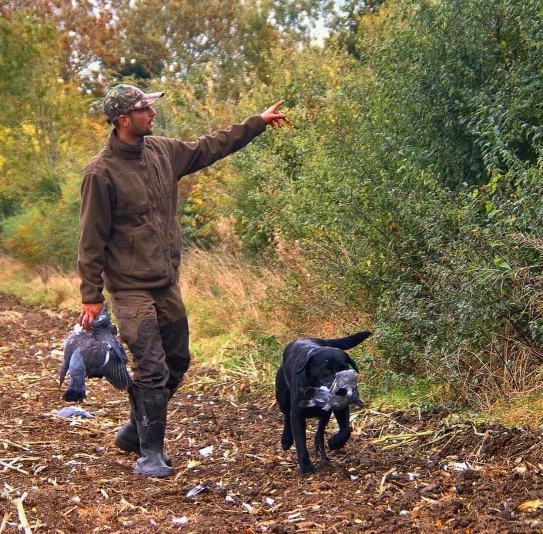 Chasse à la palombe en Sologne | Chasse au pigeon ramier en Sologne